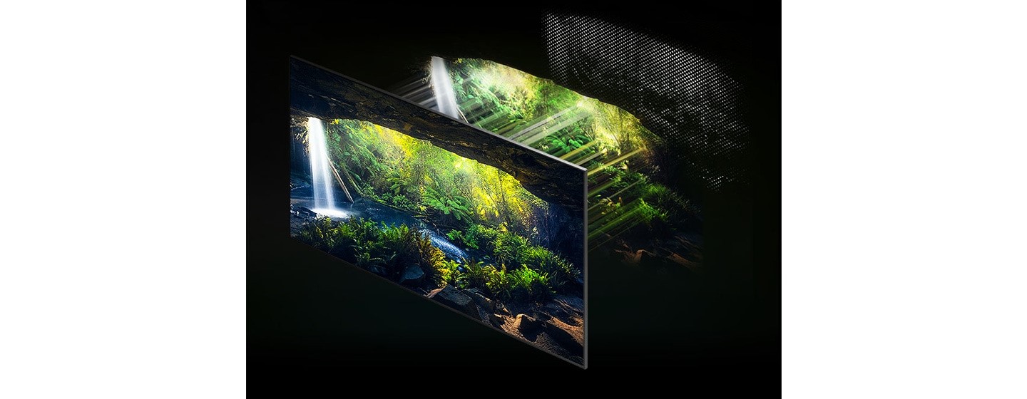 Local Dimming Display Technology: Empowering the Next Generation of ...